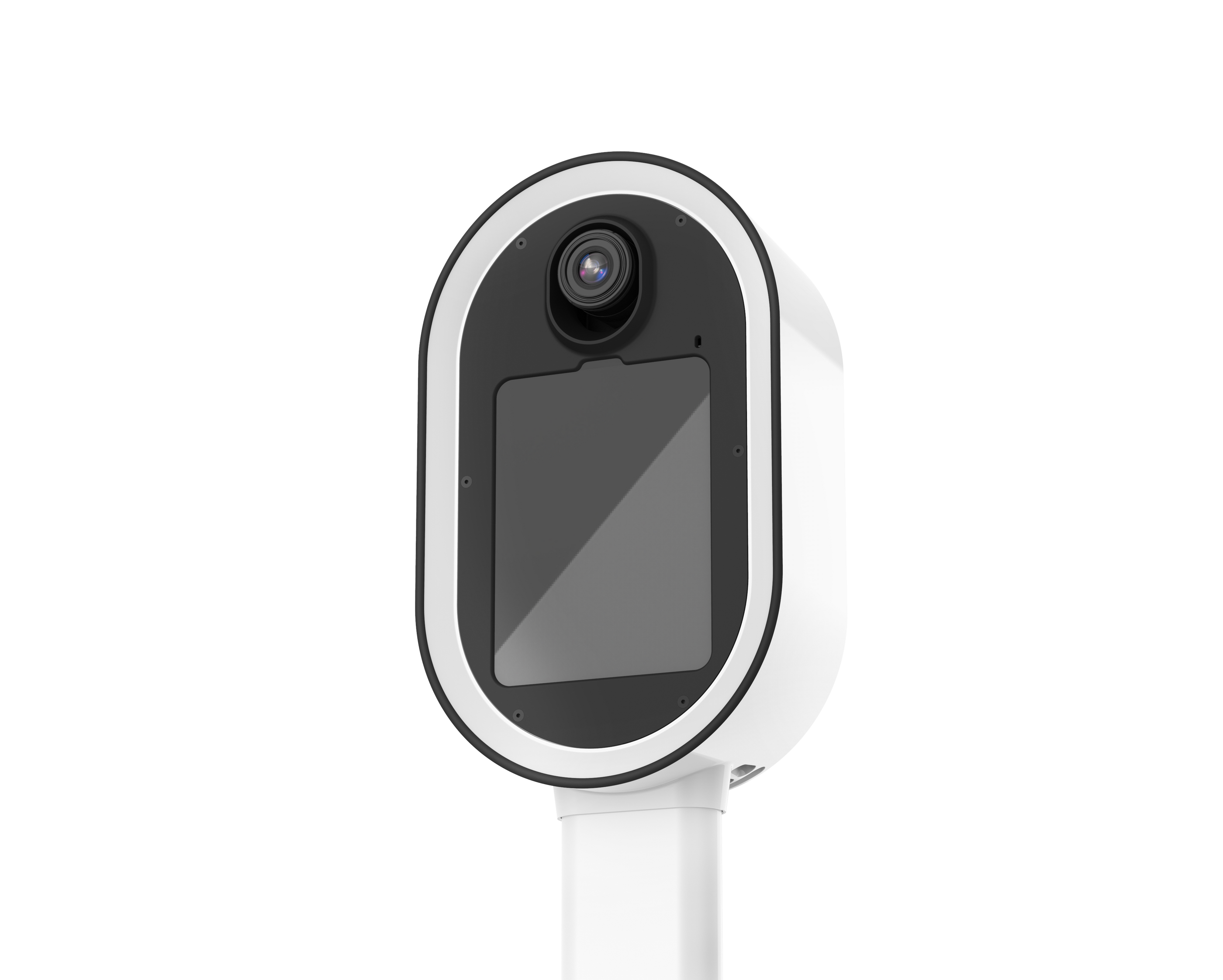 Guac & Chips: Starter Bundle