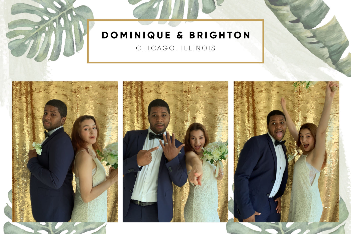 Fiesta Photo Booth Software